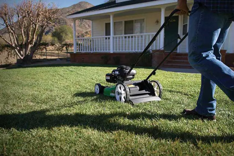 Where To Buy Lawn Boy Mowers?
