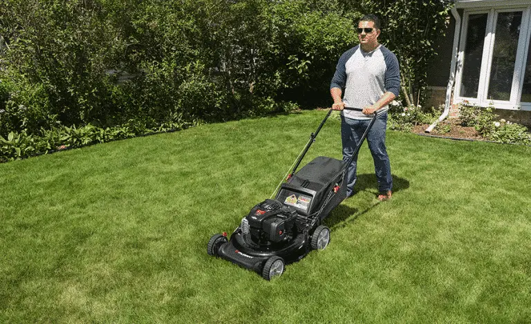 Best Murray Lawn Mowers Reviews for 2021