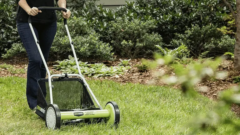 Best Reel Mowers of 2021