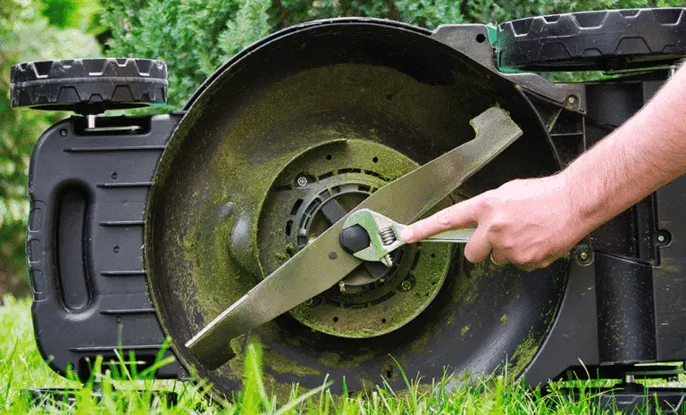 10 Best Lawn Mower Blades For Reviews For All Kind Of Mowers