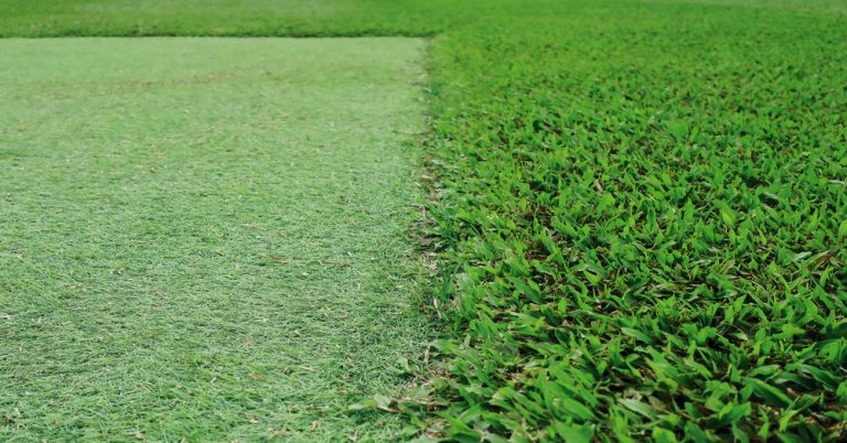 Artificial Grass Vs Natural Grass: An In-Depth Breakdown